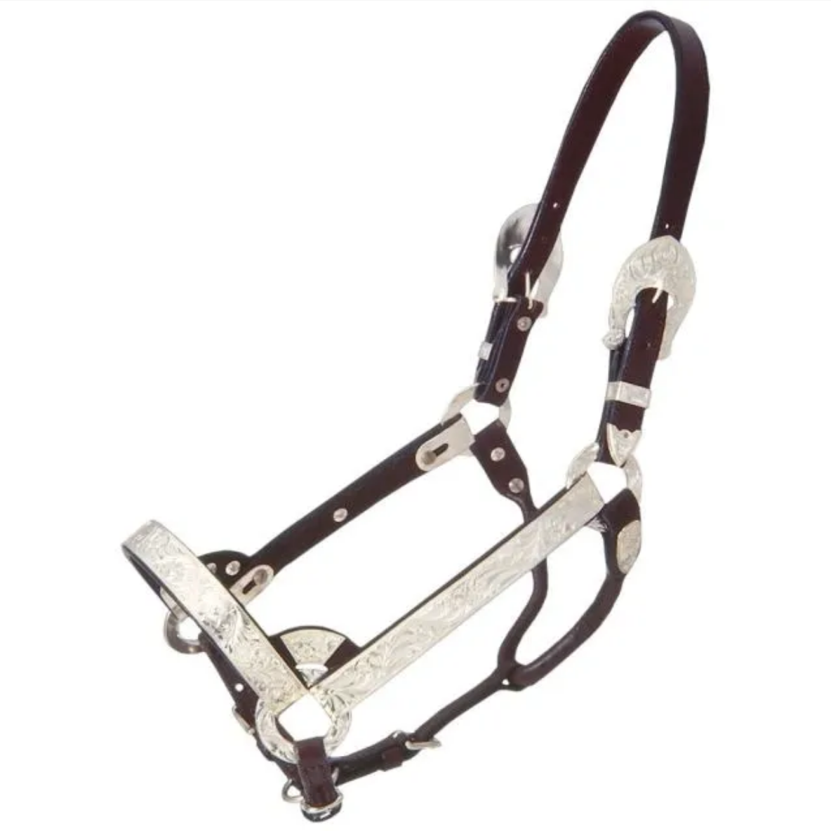 Halters Show- Silver – Allens Pony Express